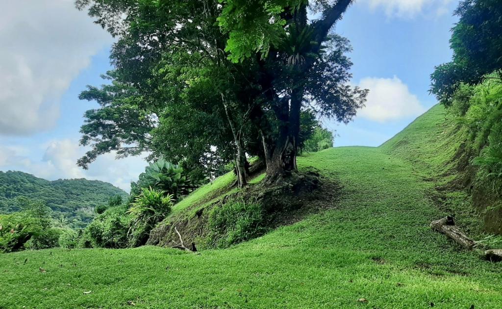 Freehold Land Fiji | SouthPacificRealEstate