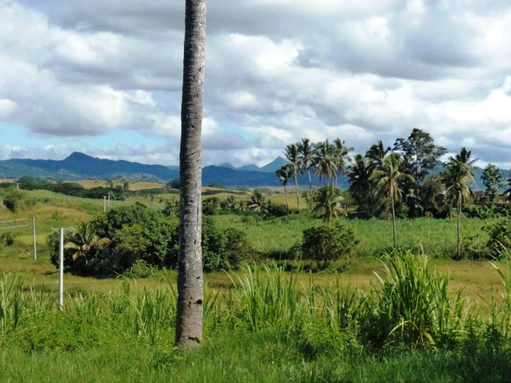 Freehold land, 40 acres with house, Fiji | SouthPacificRealEstate
