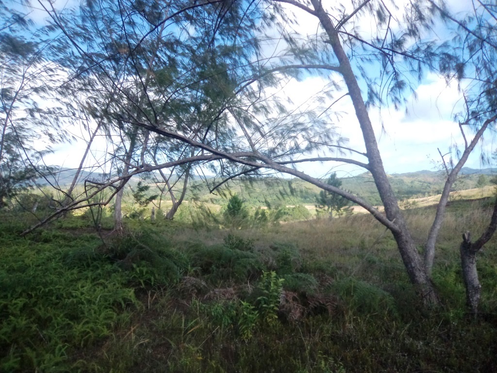 20 acre freehold property, Fiji | SouthPacificRealEstate