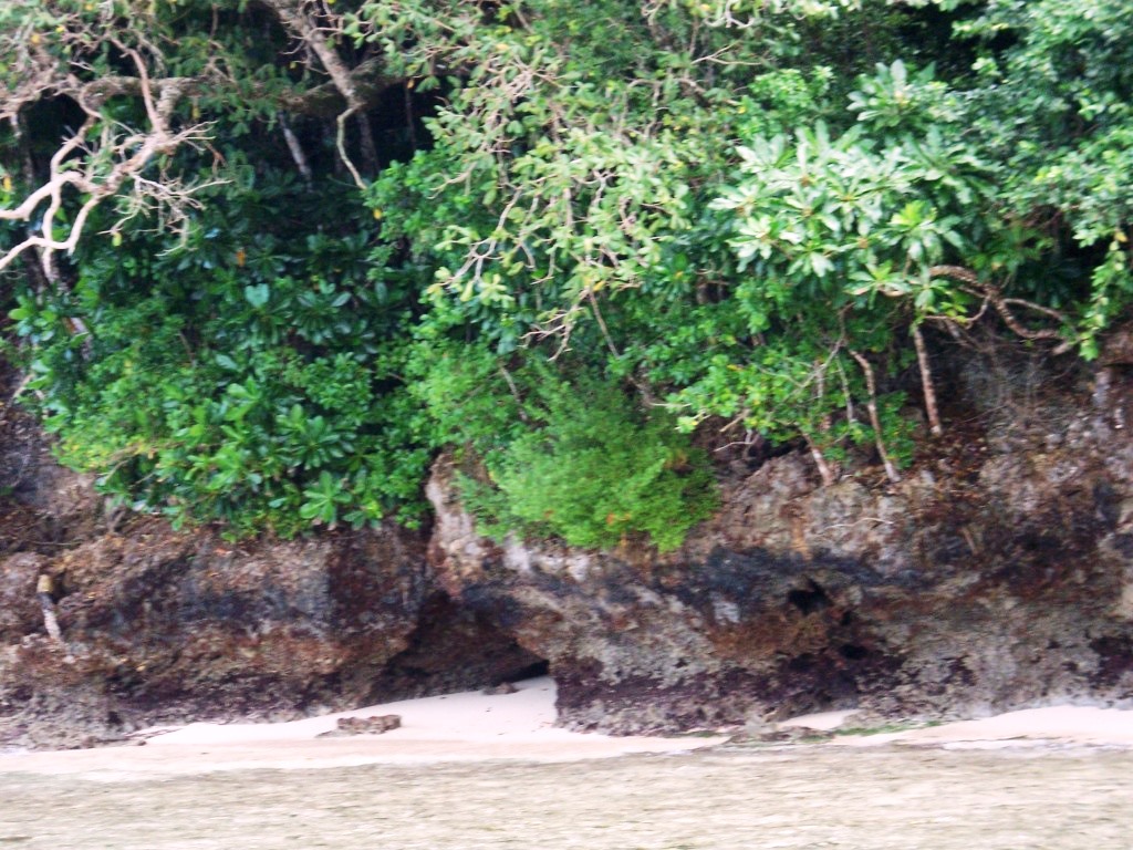 WATERFRONT, BEACHFRONT LOTS, Tonga | SouthPacificRealEstate