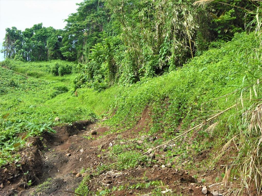 100 Acres Freehold Land, Fiji | SouthPacificRealEstate