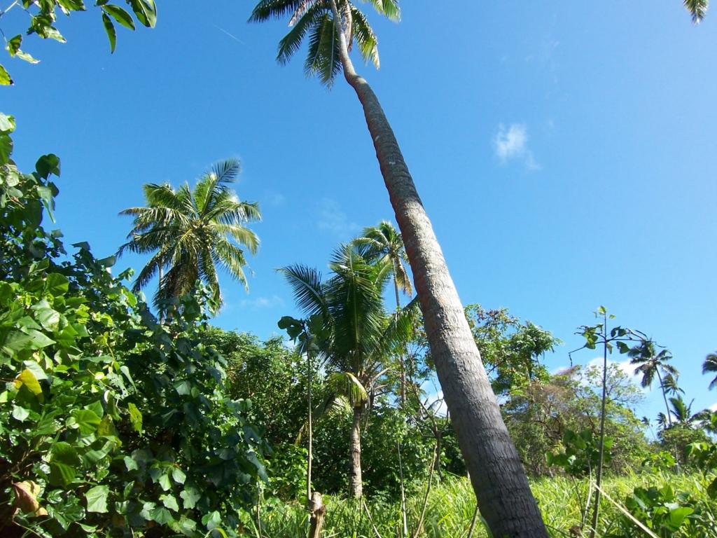 900 plus ft of waterfront with sea pool $39.9k US, Tonga ...