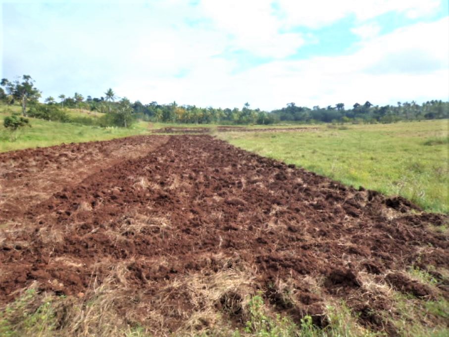 Agricultural freehold land, Fiji | SouthPacificRealEstate