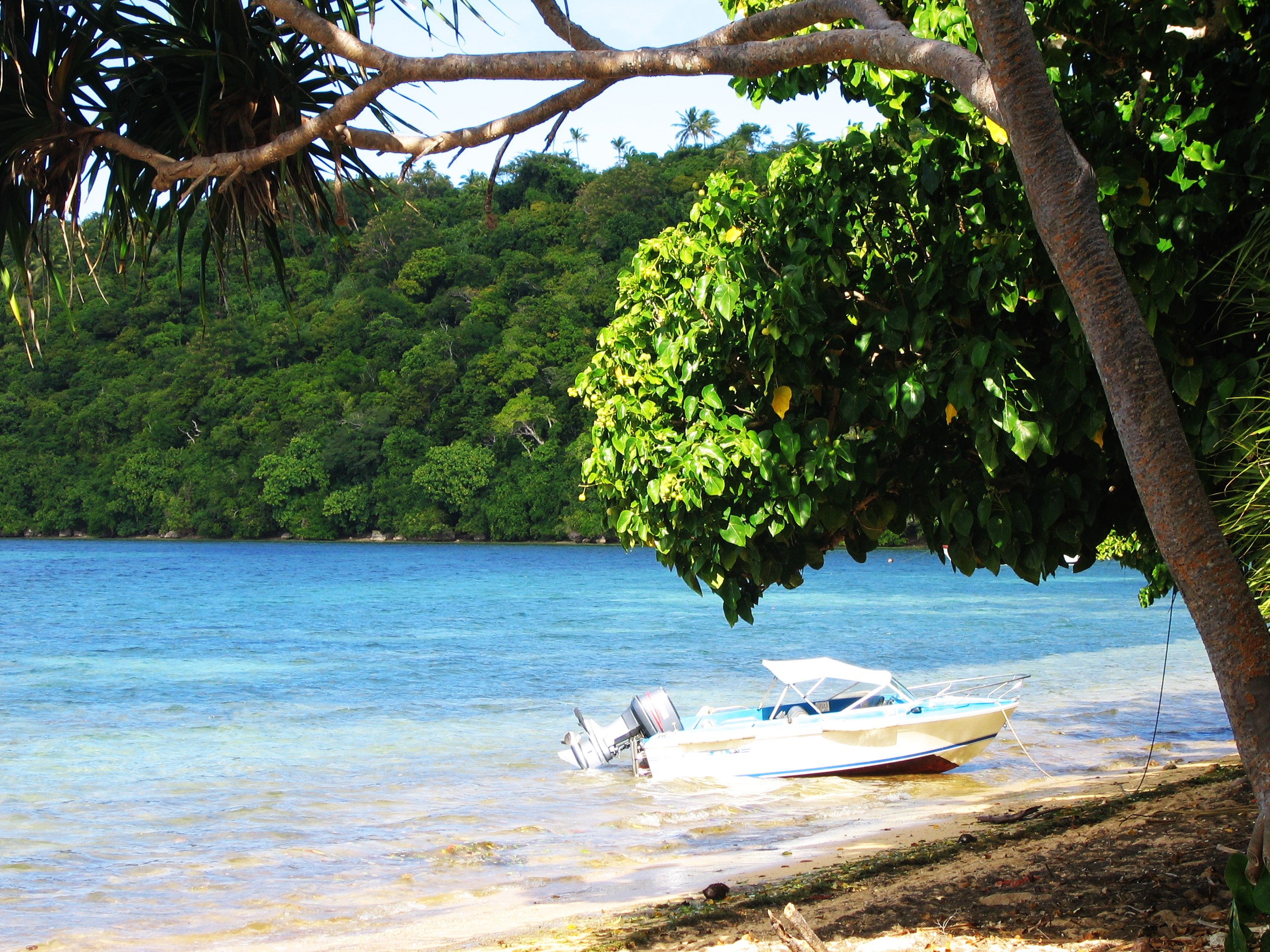 Kapa Island beach, Tonga | SouthPacificRealEstate