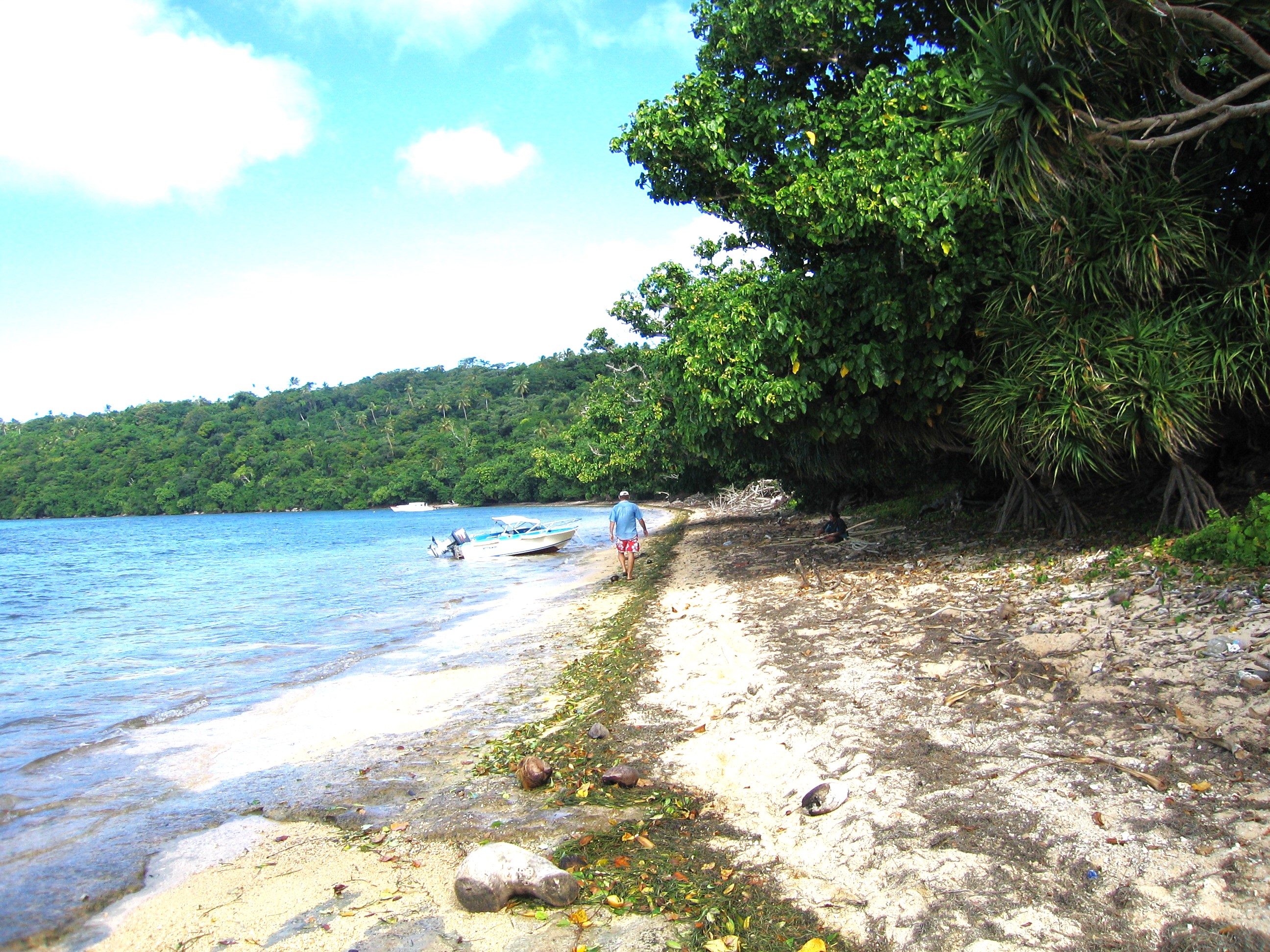 Kapa Island beach, Tonga | SouthPacificRealEstate