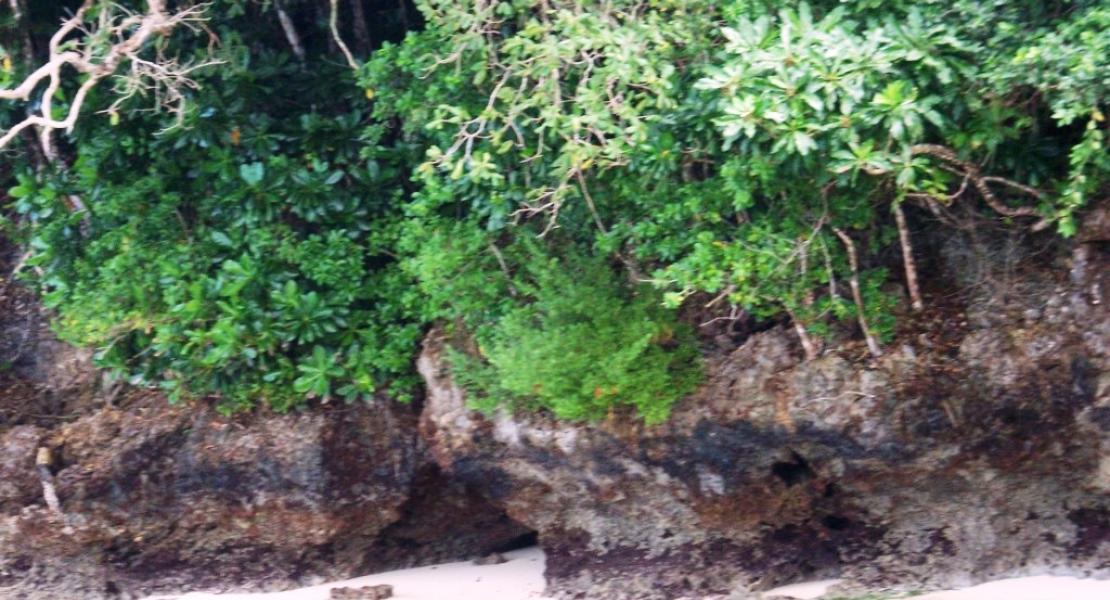 WATERFRONT, BEACHFRONT LOTS, Tonga | SouthPacificRealEstate