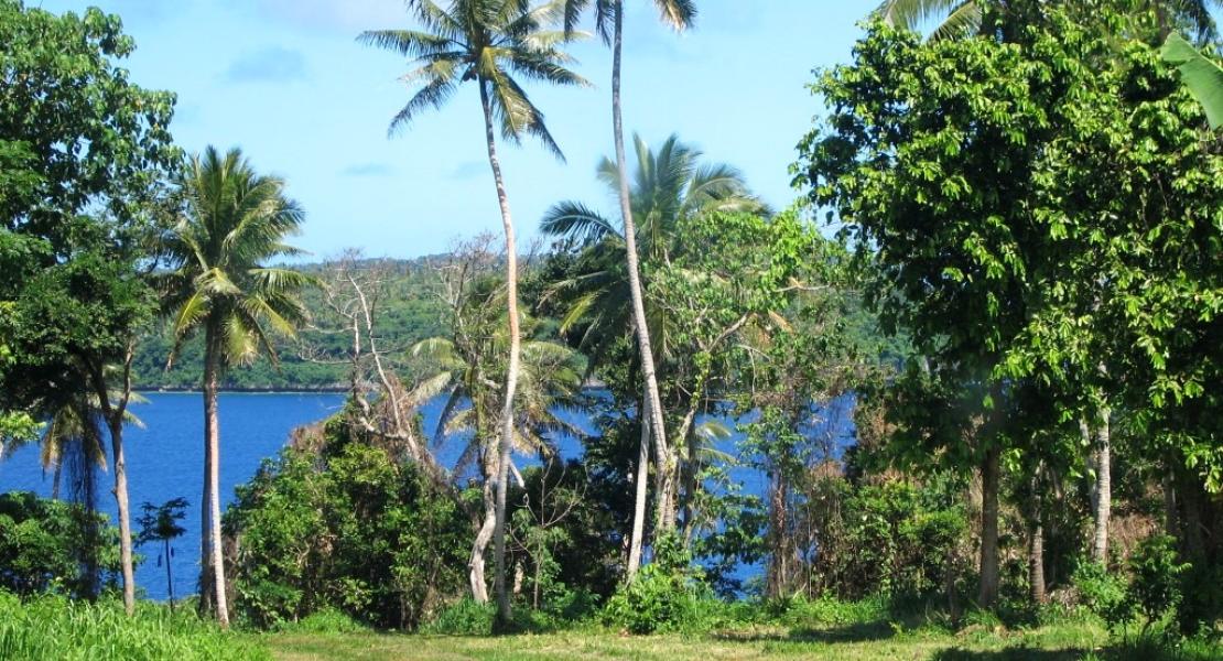 WATERFRONT, BEACHFRONT LOTS, Tonga | SouthPacificRealEstate