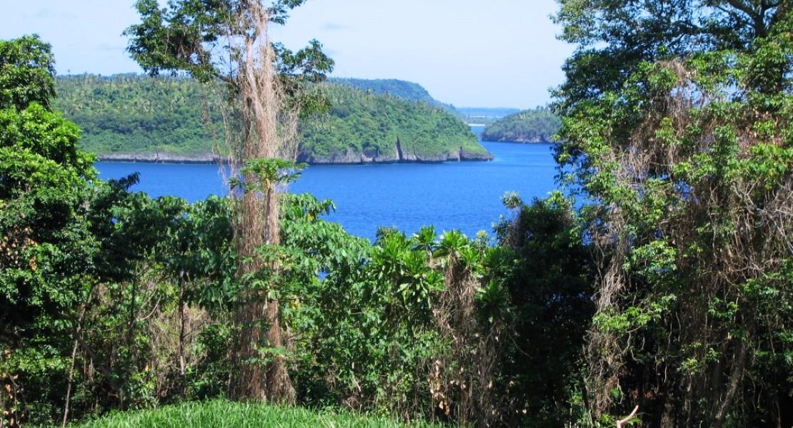 WATERFRONT, BEACHFRONT LOTS, Tonga | SouthPacificRealEstate