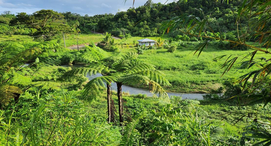 Fiji Properties | SouthPacificRealEstate