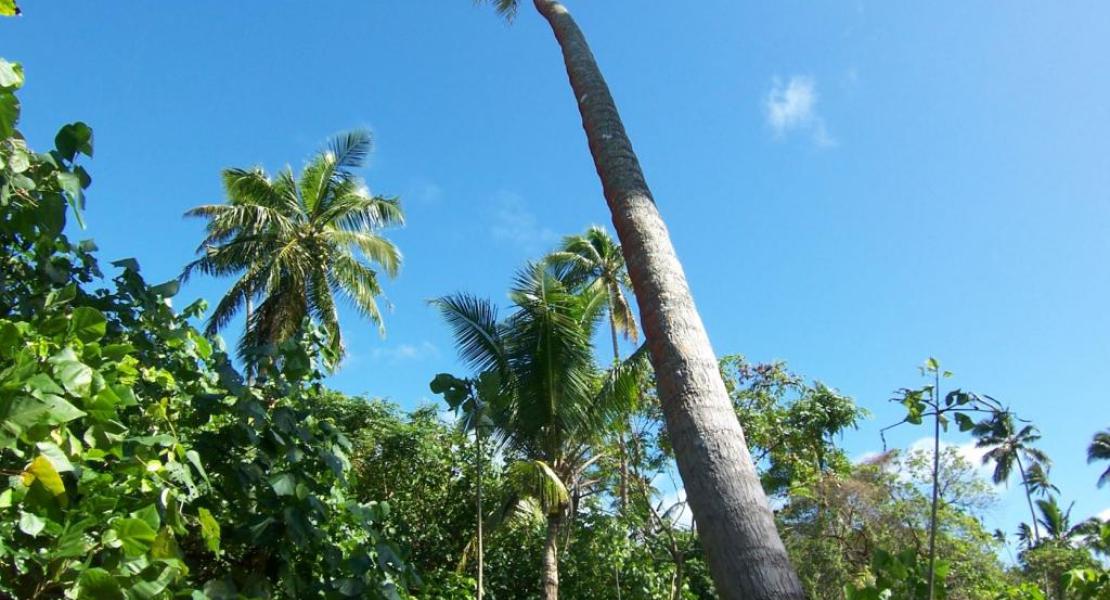 900 plus ft of waterfront with sea pool $39.9k US, Tonga ...