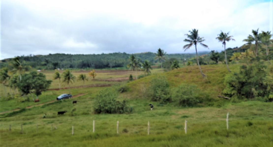 Agricultural freehold land, Fiji | SouthPacificRealEstate