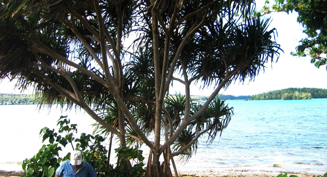 Kapa Island beach, Tonga | SouthPacificRealEstate